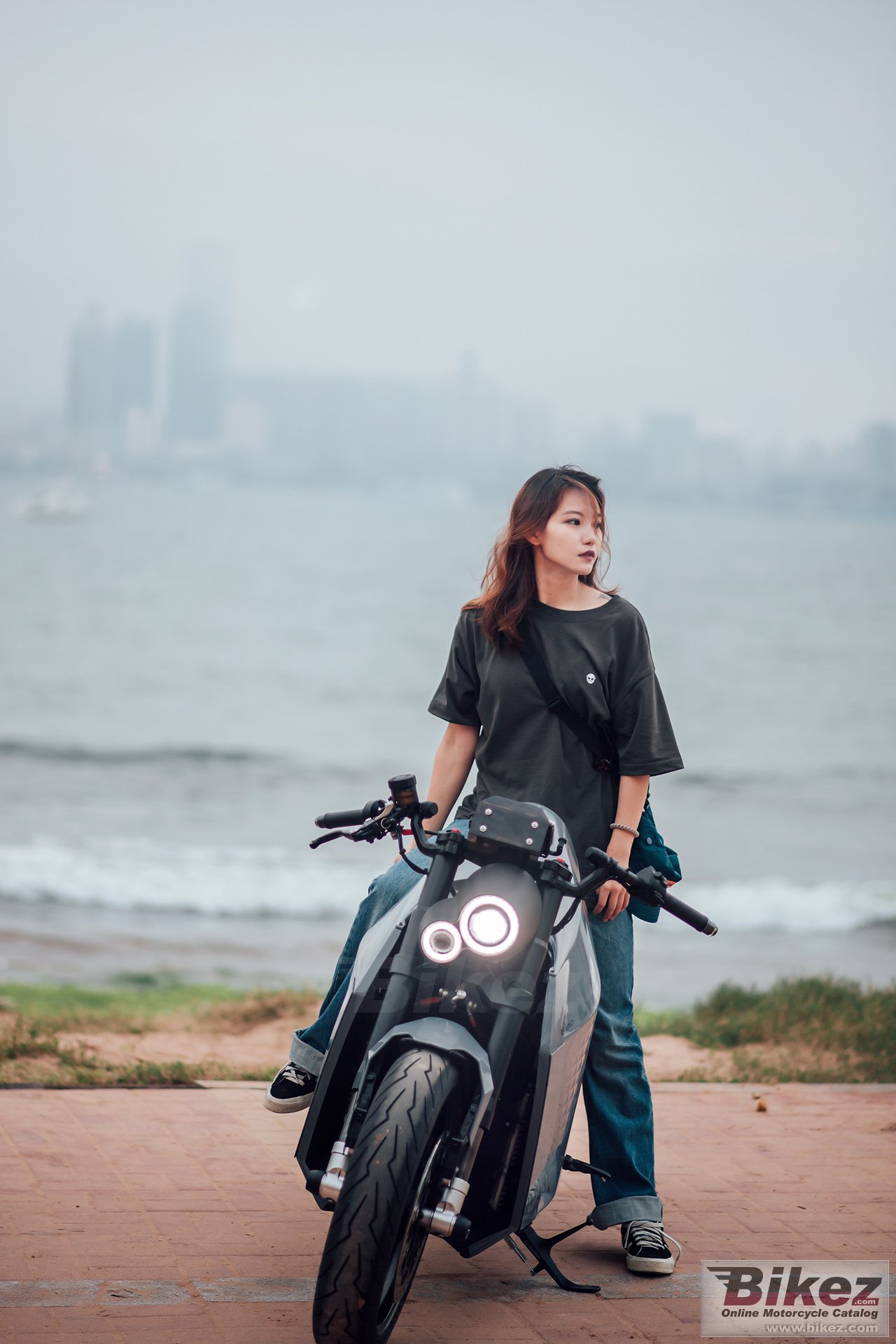 Davinci DC100 poster